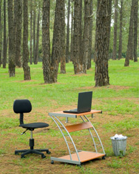 Top 5 Ways Nature Has Inspired Technology | HowStuffWorks