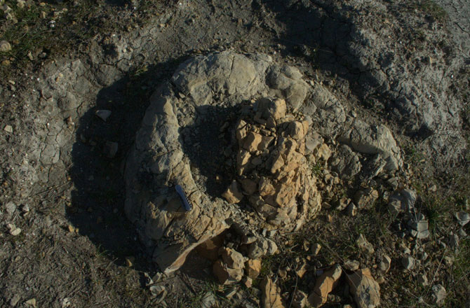 How can whale vomit help me retire? | HowStuffWorks