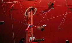 10 Circus Safety Strategies the Audience Doesn't See | HowStuffWorks