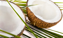 What are some coconut oil allergy symptoms? | HowStuffWorks