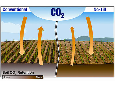 No Till Farming Diagram Minimum Tillage Changes Planters & Cultivators