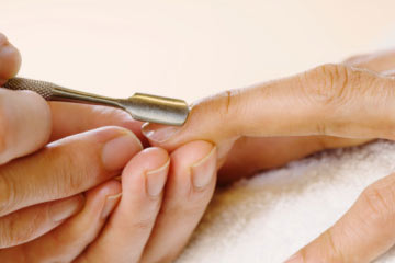 How Cuticles Works | HowStuffWorks