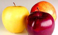 How to Remove Apple Stains: Tips and Guidelines | HowStuffWorks