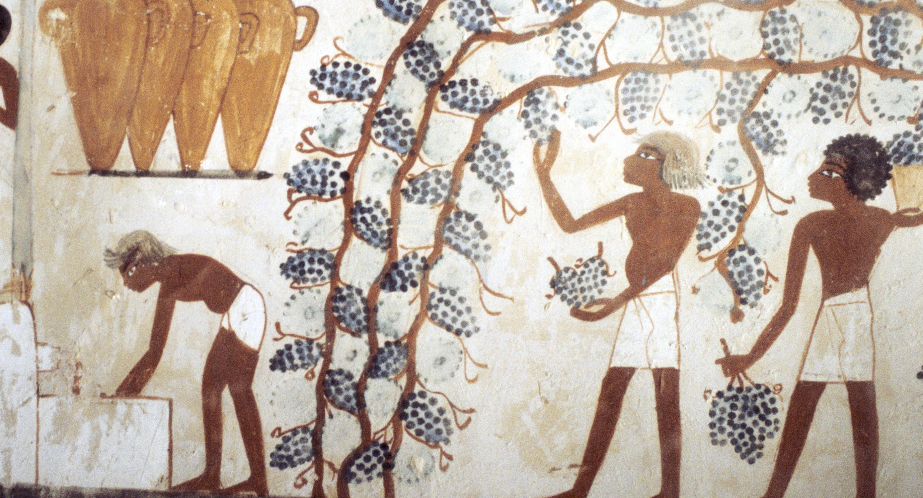 Ancient Wine Fermentation