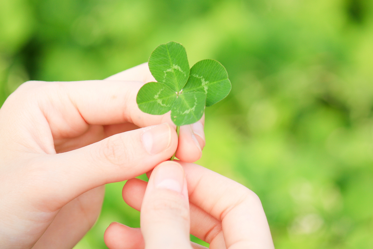 What s The Best Way To Find A Four leaf Clover HowStuffWorks