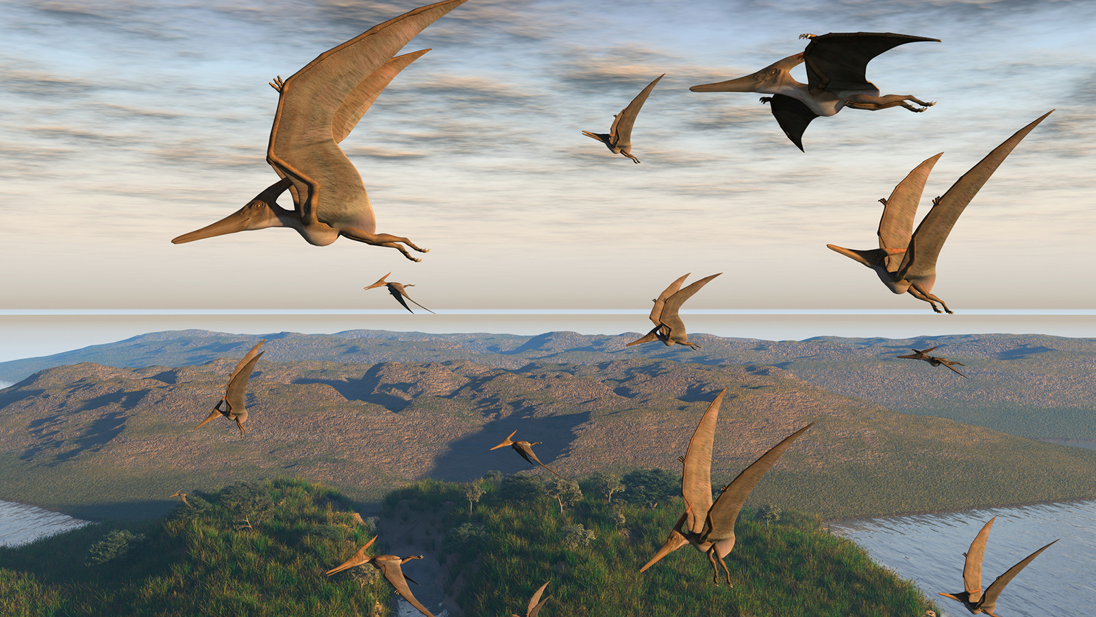 Quetzalcoatlus Perhaps The Largest Flying Animal Of All Fossils Reveal