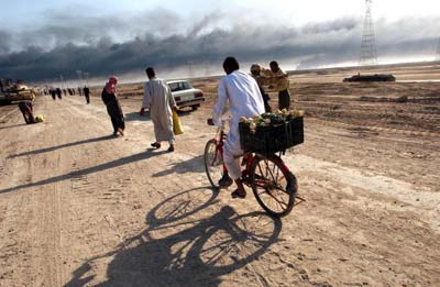 Other Reasons to Migrate | HowStuffWorks