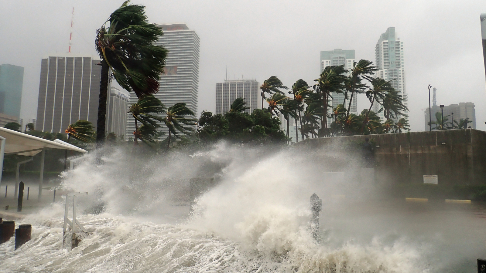 Hurricane Storm Damage Irma Irma Leaves Devastation In Its Wake In The