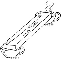 Insect Experiments for Kids | HowStuffWorks