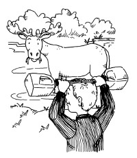 Moose Activities for Kids | HowStuffWorks