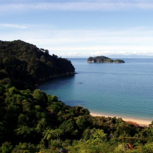 Ultimate Guide to the Nelson Wine Region | HowStuffWorks