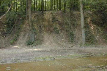 Is off-roading bad for the environment? | MapQuest Travel