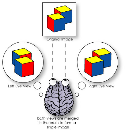 Seeing in Three Dimensions - Stereoscopic Vision | HowStuffWorks