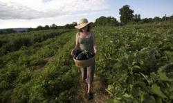 How Permaculture Works | HowStuffWorks