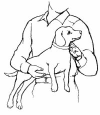 How to Transport an Injured Dog - How to Give First Aid to Your Dog ...