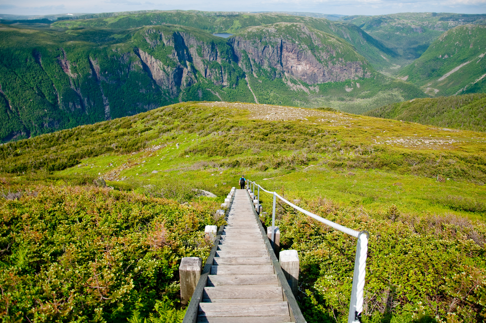 The Best Things to See and Do in Newfoundland | MapQuest Travel