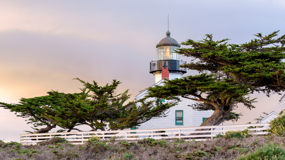 7 Unforgettable Backdrops on California's 17 Mile Drive | MapQuest Travel