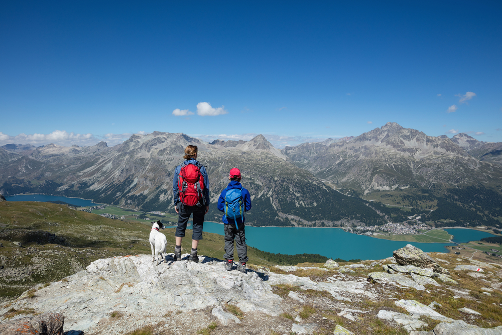 The Top 8 Pet-Friendly Vacation Destinations in Europe | MapQuest Travel