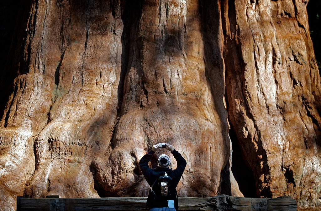Sequoia National Park | MapQuest Travel
