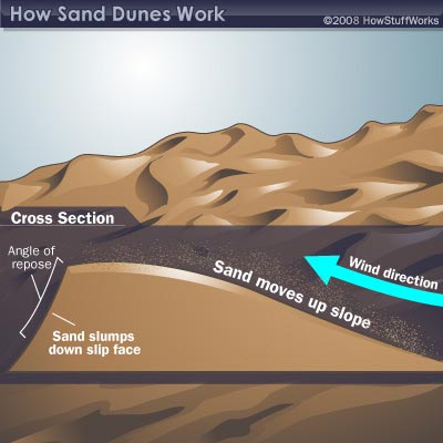Sand Dune Formation | HowStuffWorks
