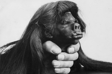 The Process of Head Shrinking | HowStuffWorks