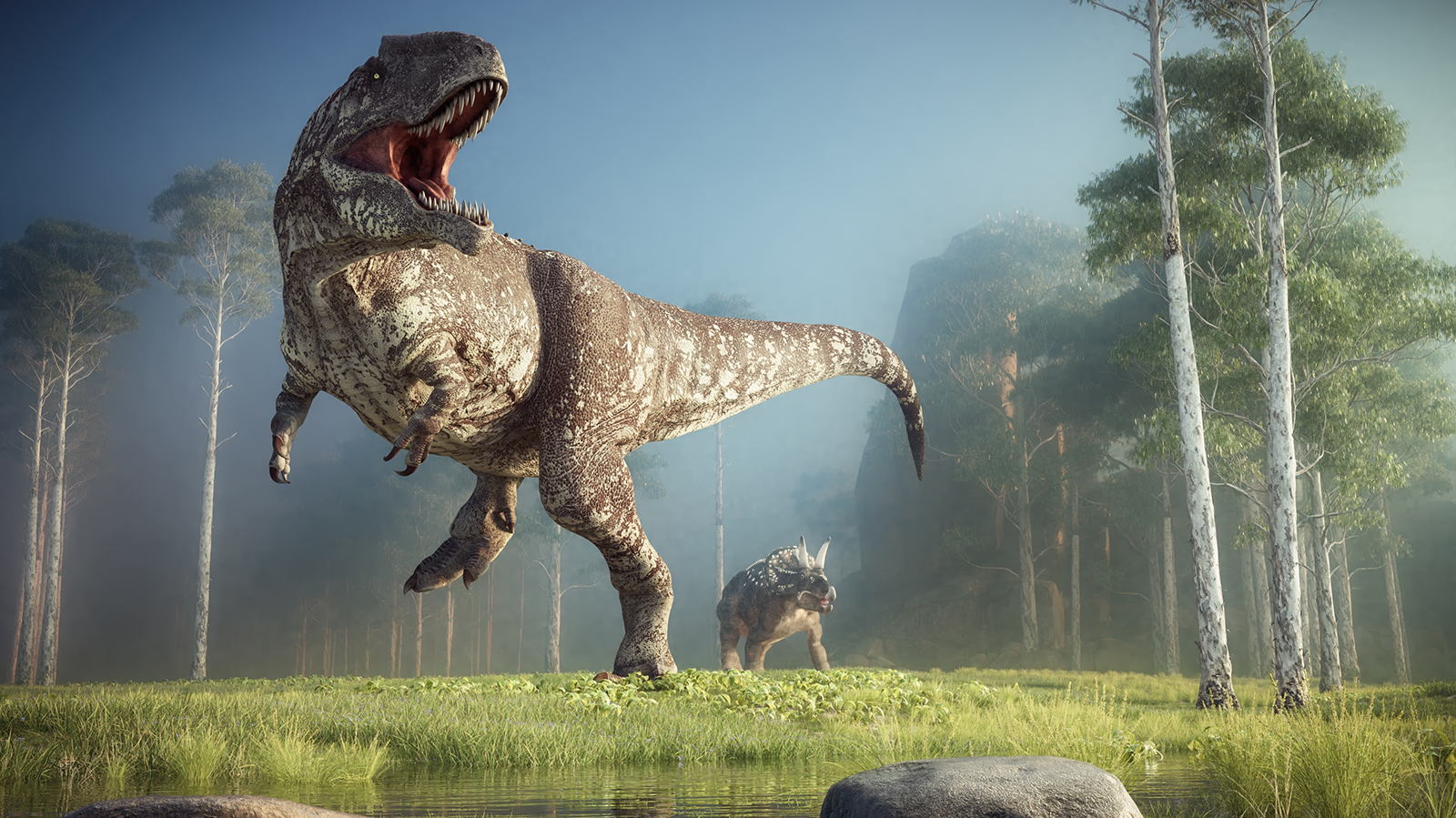 Tyrannosaurus Rex Vs Giganotosaurus Who Would Win - Infoupdate.org