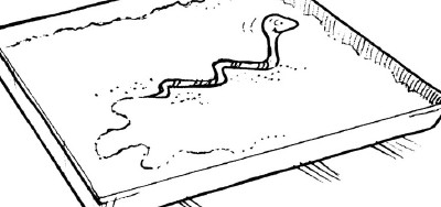 Snake Activities for Kids | HowStuffWorks