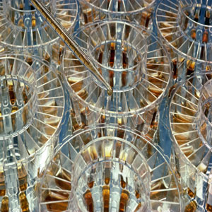 What's new in synthetic oil technology? | HowStuffWorks