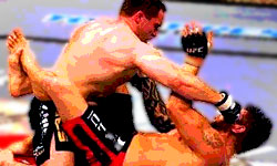 How the Ultimate Fighting Championship Works | HowStuffWorks