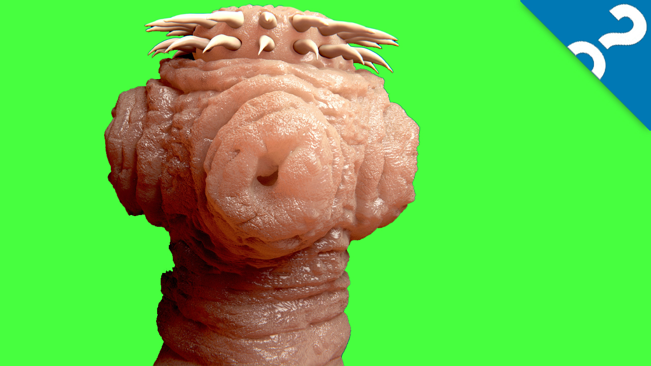 What the Stuff?!: 4 Terrifying Parasites Found in Humans | HowStuffWorks