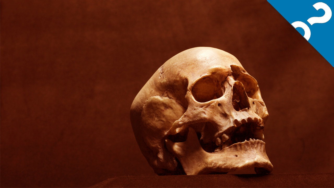 What the Stuff?!: 5 Signs of a Modern Mass Extinction | HowStuffWorks