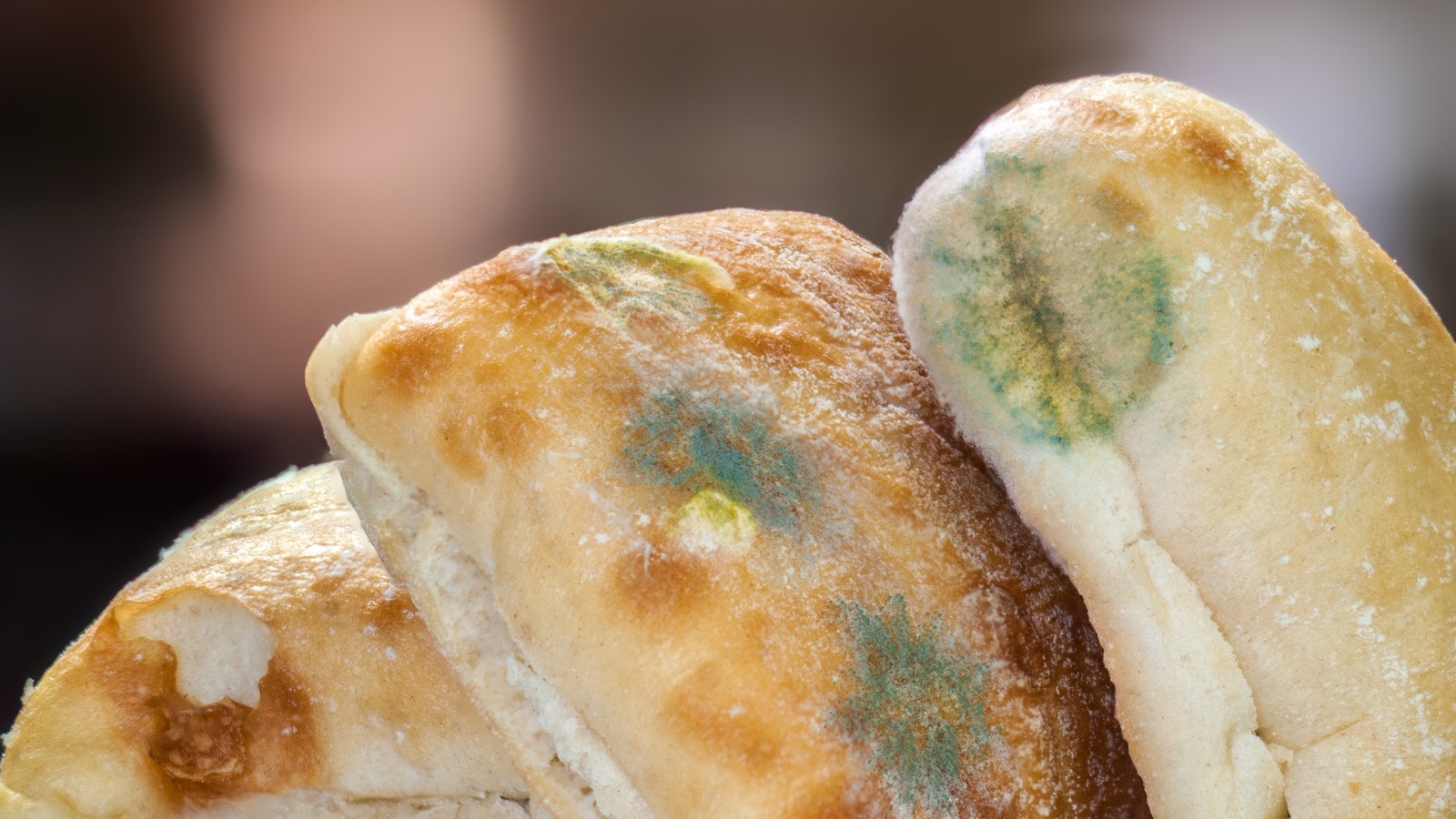 What Happens If You Eat Bread With Mold On It Bread Poster